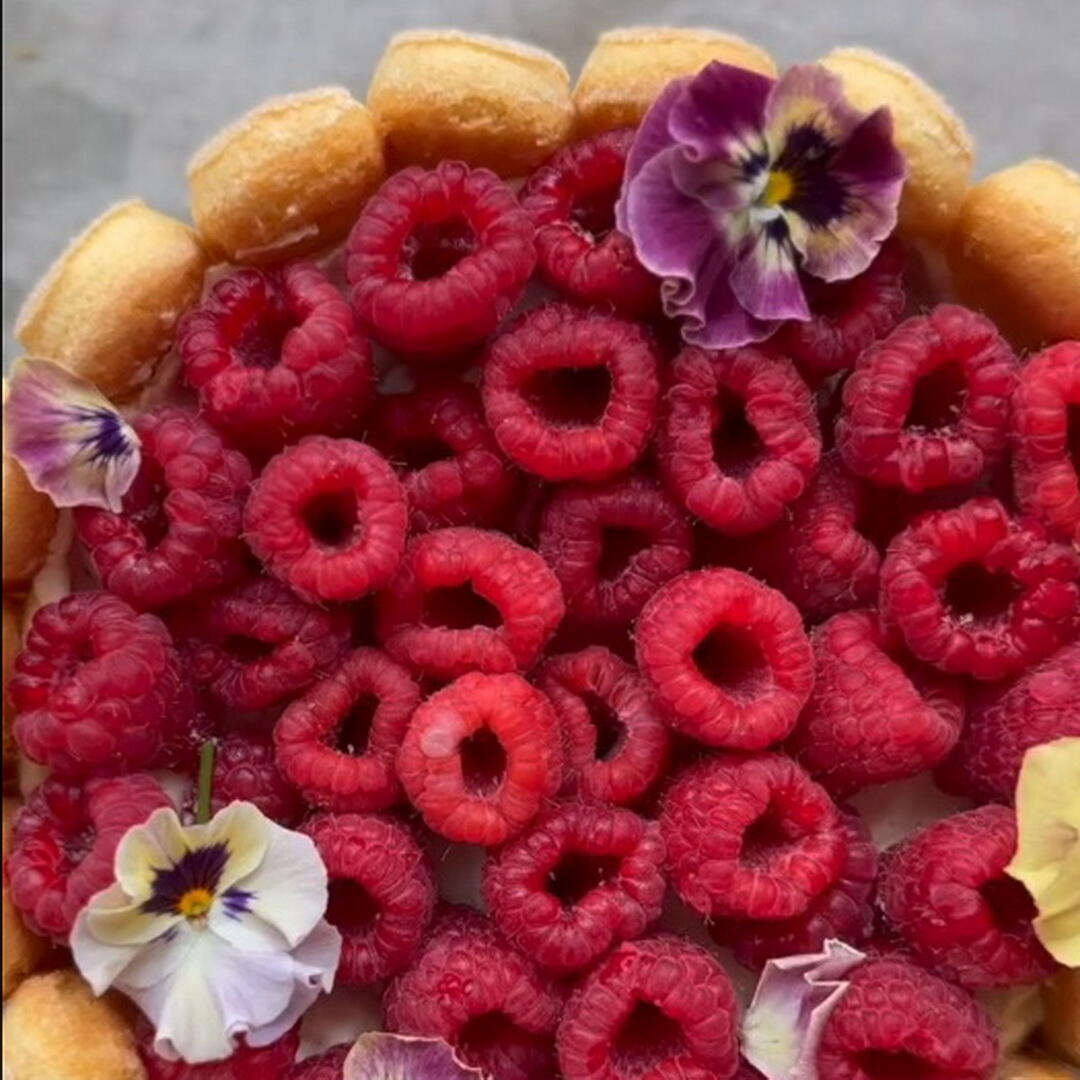 Raspberry Charlotte - Petites Choses